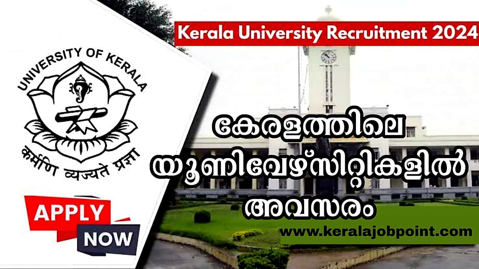 Universities in kerla Recruitment Apply now 2024 - keralajobpoint