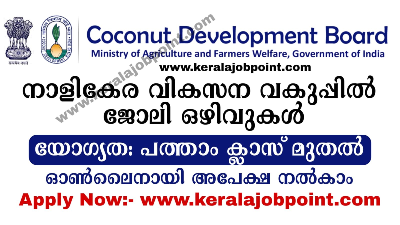 Coconut Development Board Recruitment 2023 Apply Now - keralajobpoint