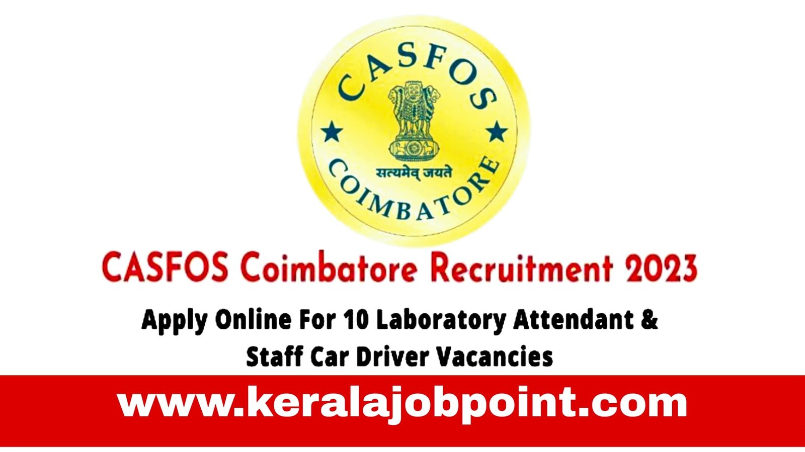 Central Academy for State Forest Service Recruitment 2023 Apply Now ...