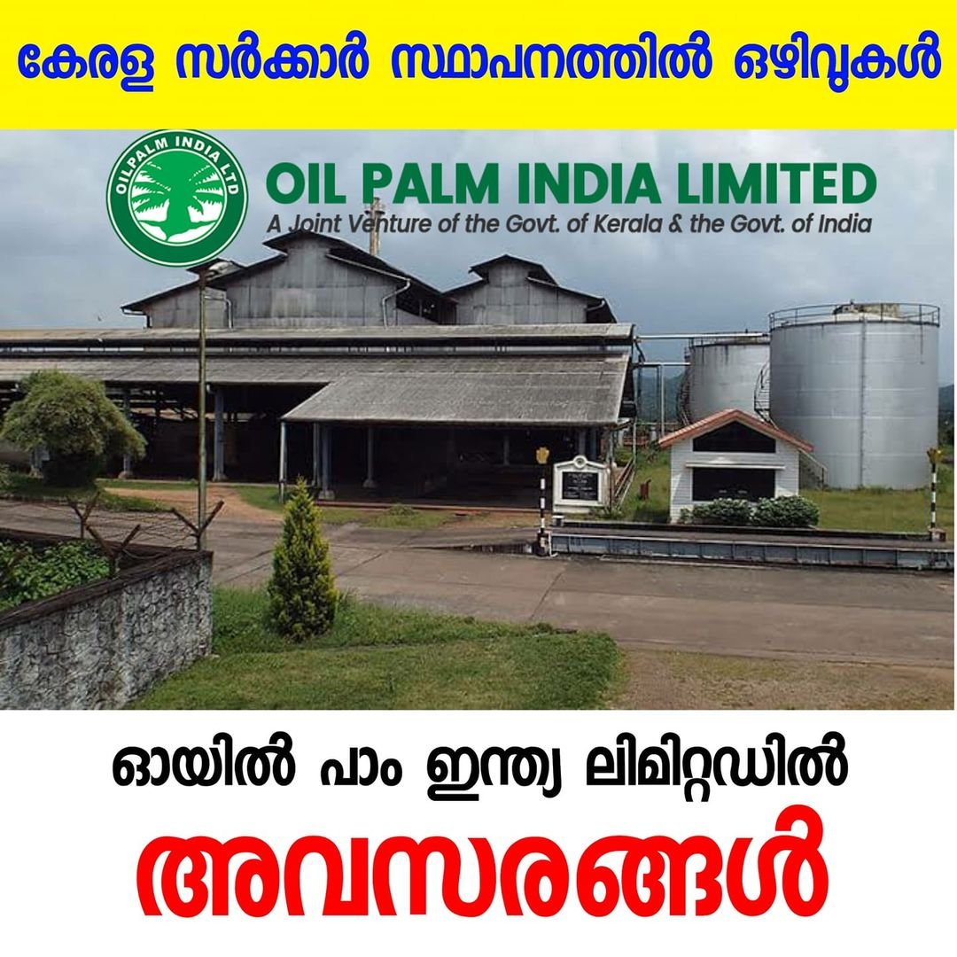 Oil pam india Recruitment Apply now 2023 - keralajobpoint