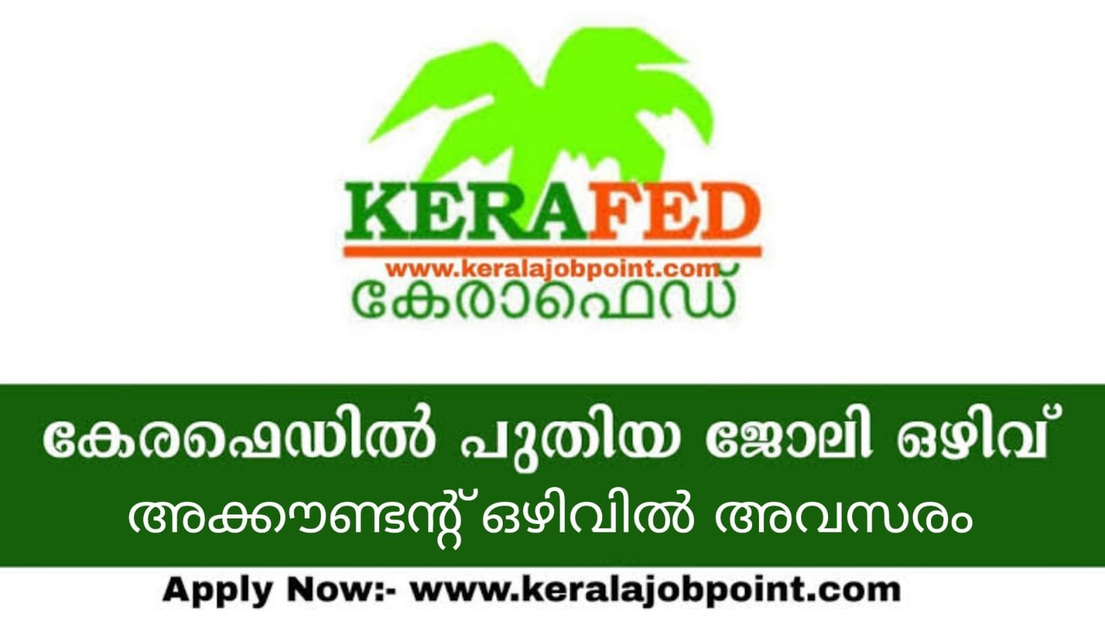 KERAFED Recruitment Apply now 2024 - keralajobpoint